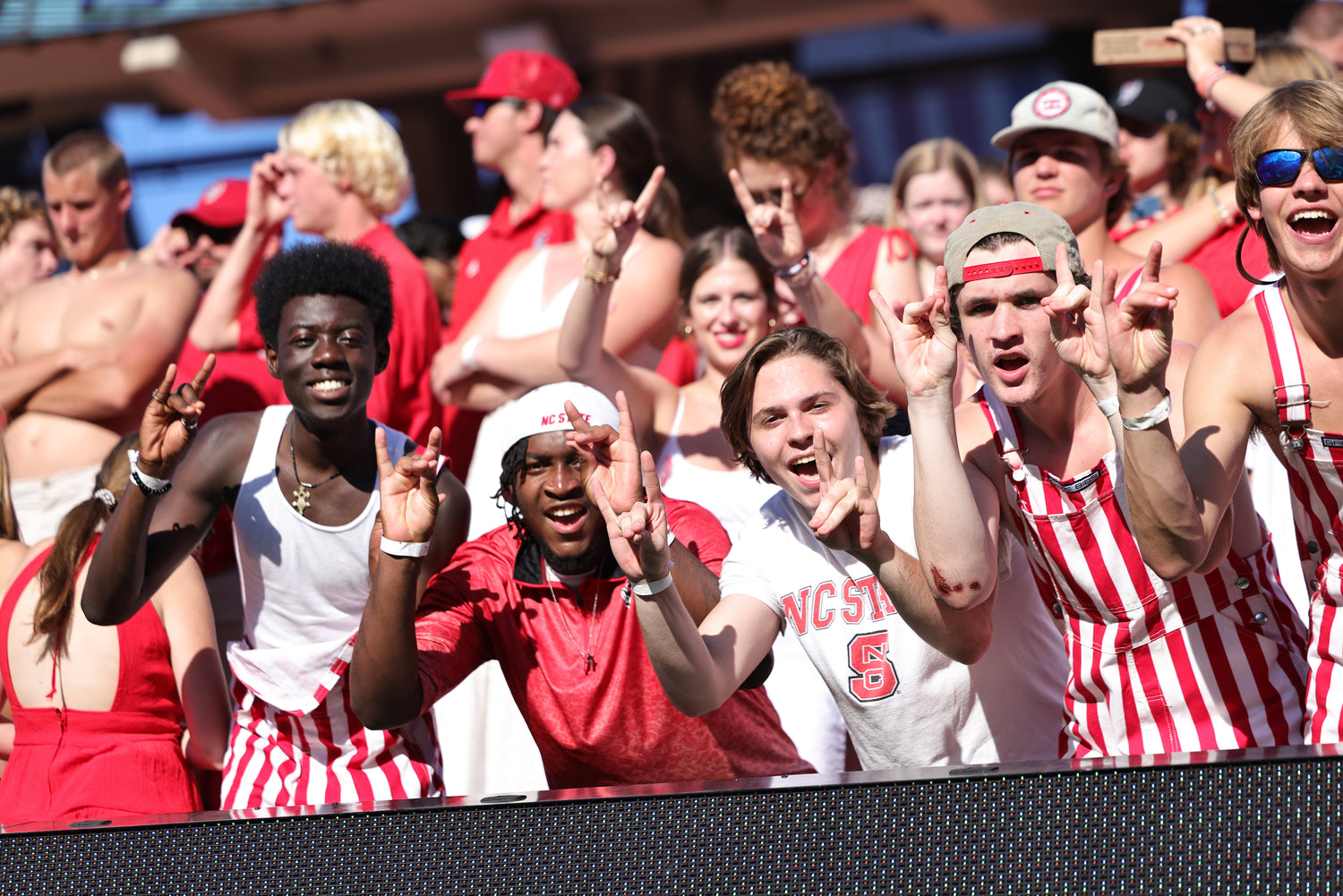 1PACK - Fans – 1PACK NIL